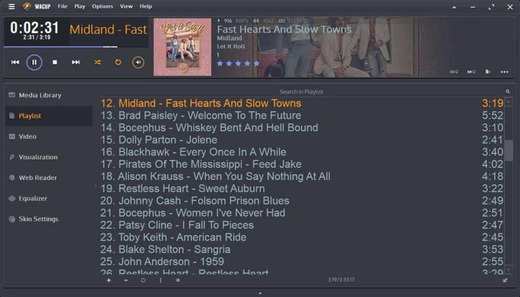 Winamp big bento skin - wesneuro
